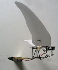 Flapping micro air vehicles inspired by swifts – sUAS News