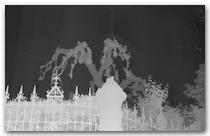 Scene Reconstruction from High Spatio Angular Resolution Light Fields ...