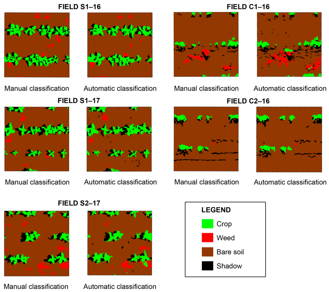 An Automatic Random Forest-OBIA Algorithm for Early Weed Mapping between and within Crop Rows ...