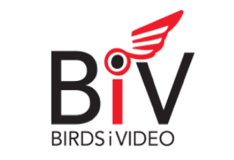 BirdsiVideo Partners with Aviation Attorney Imogen Mann for U.K ...