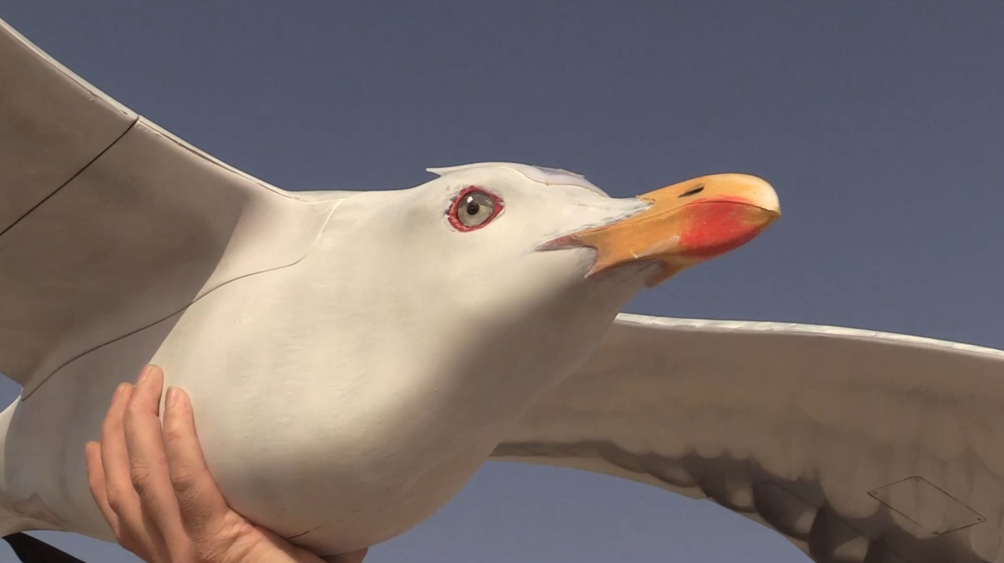 Unobtrusive Surveillance With Drone Bird – sUAS News