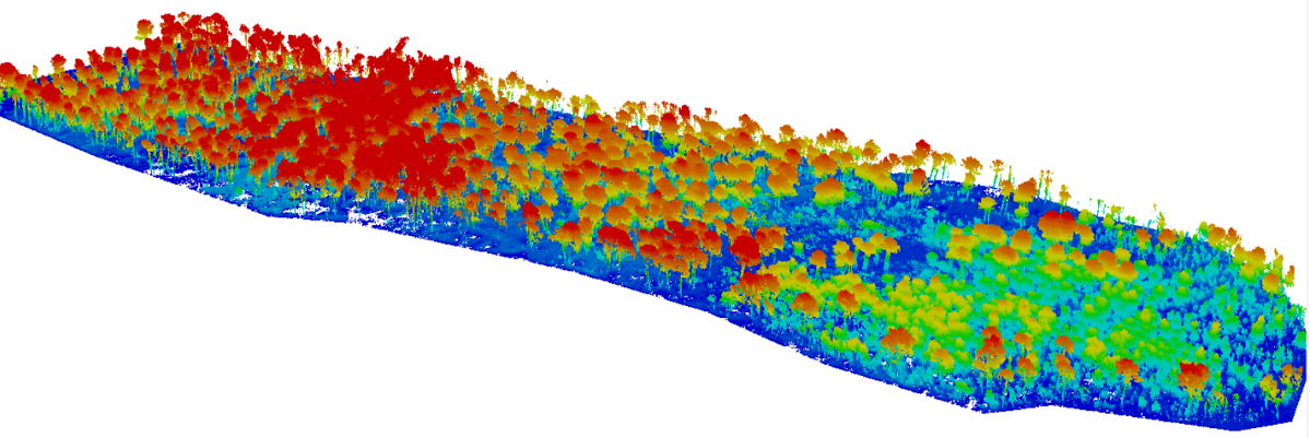 Predicting fire risk and improving forest fire management with UAV ...