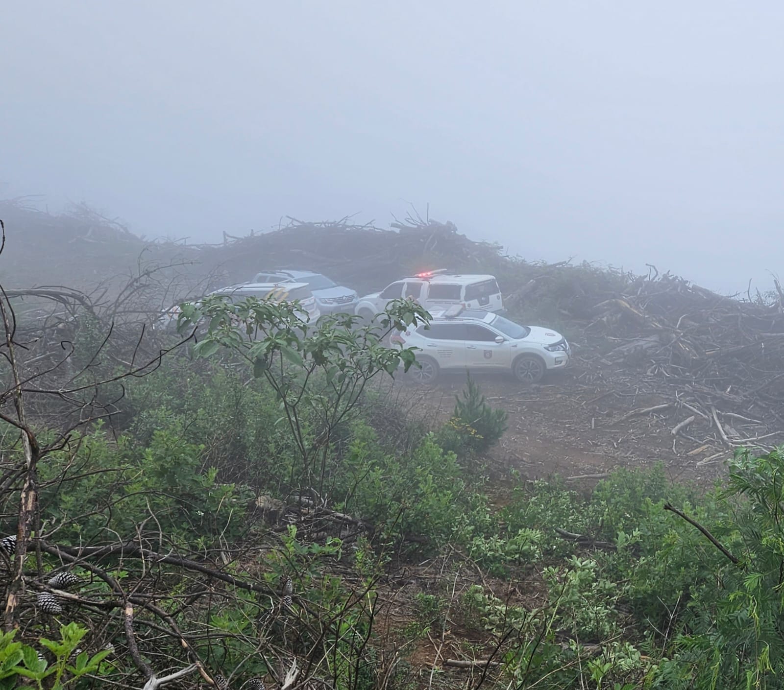 nsele crash – sUAS News