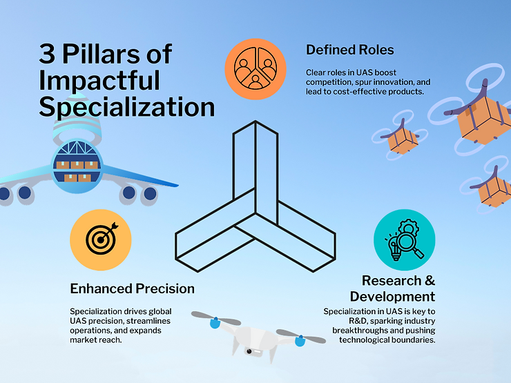 Sentinel Sky – Strategic Specialization in UAS Innovation and ...